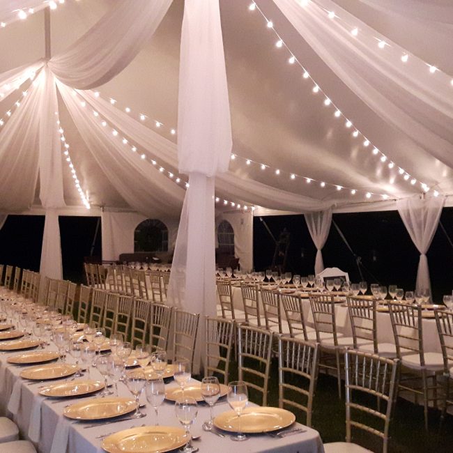 Ceiling Draping & Hanging Greenery Archives - Valley Tent & Party Rentals